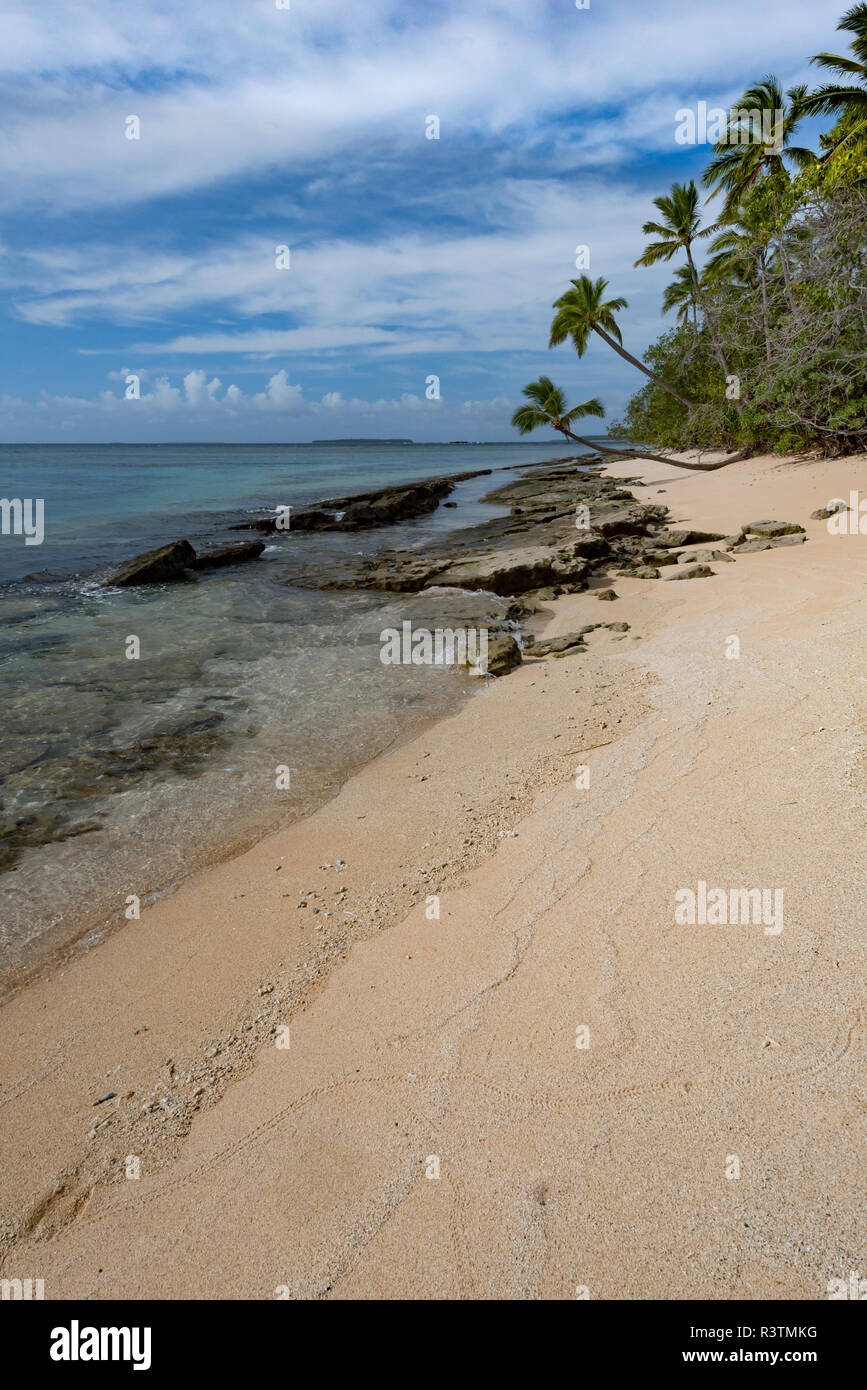 Pacific Islands, Tonga. Deserted sandy beach on an uninhabited island ...