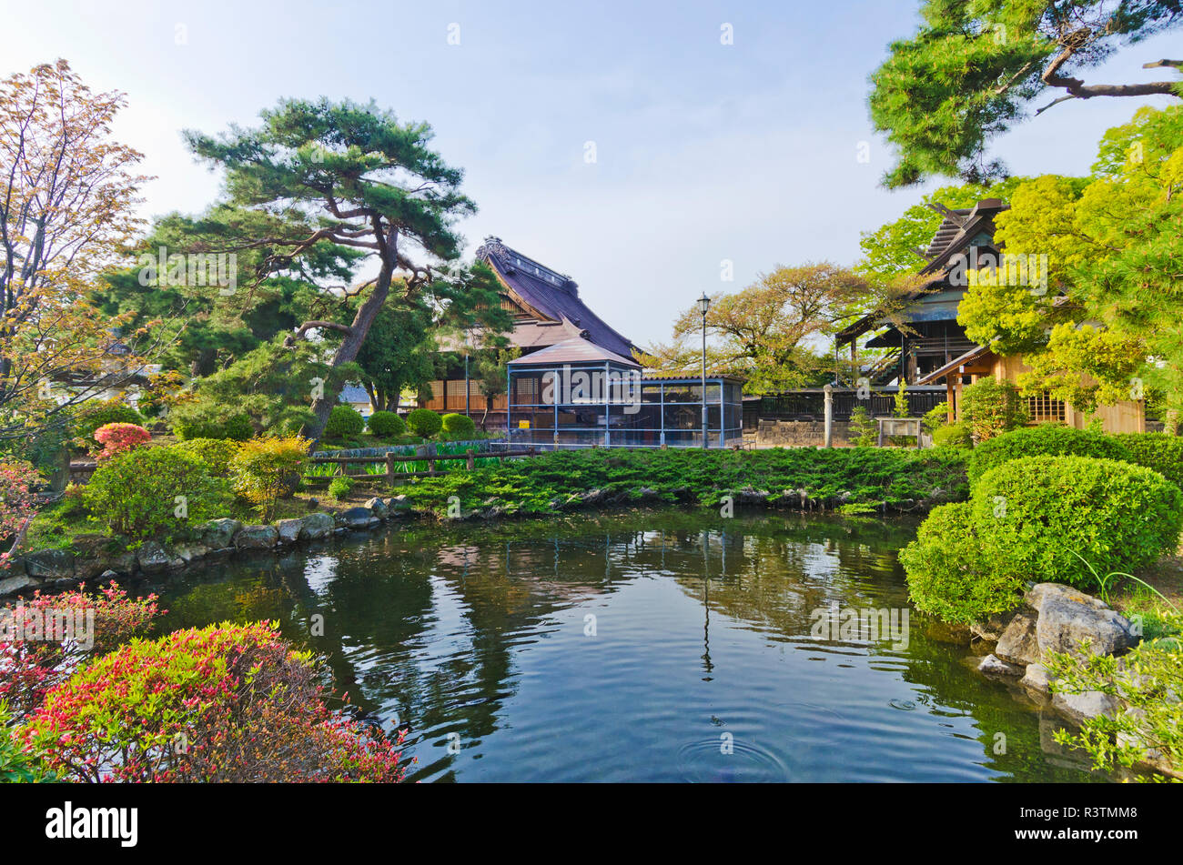 Shinmei shrine hi-res stock photography and images - Alamy