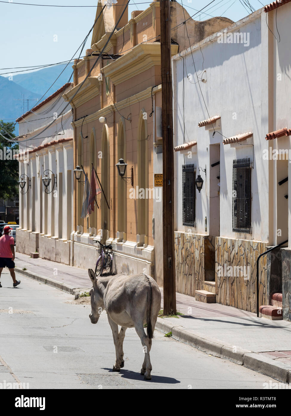 Town of Cafayate is the center for tourism and winegrowing in the ...