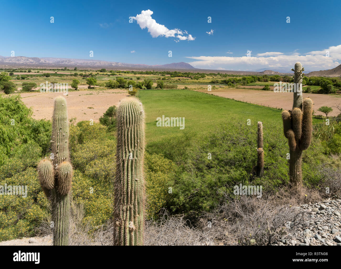 Agriculture south america hi-res stock photography and images - Alamy