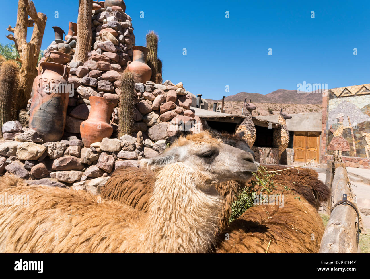 Pottery in the Quebrada de Humahuaca canyon, a UNESCO World Heritage ...