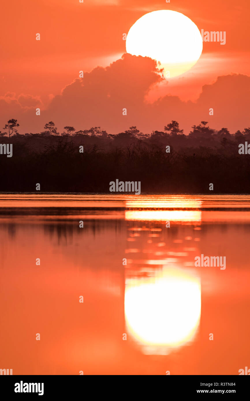 Belize, Crooked Tree Wildlife Sanctuary. Sunrise over lagoon Stock ...