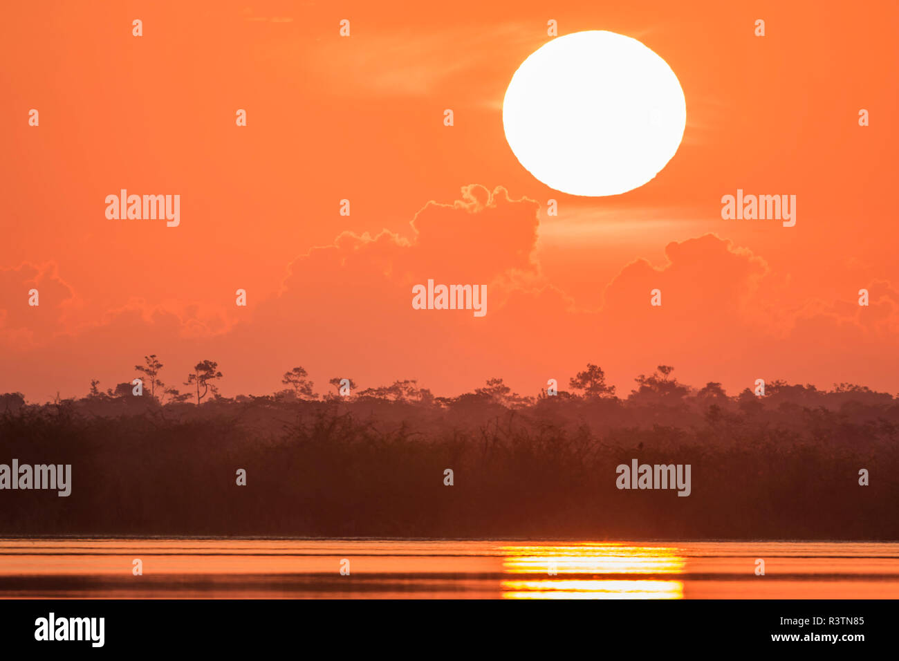 Belize, Crooked Tree Wildlife Sanctuary. Sunrise over lagoon Stock ...
