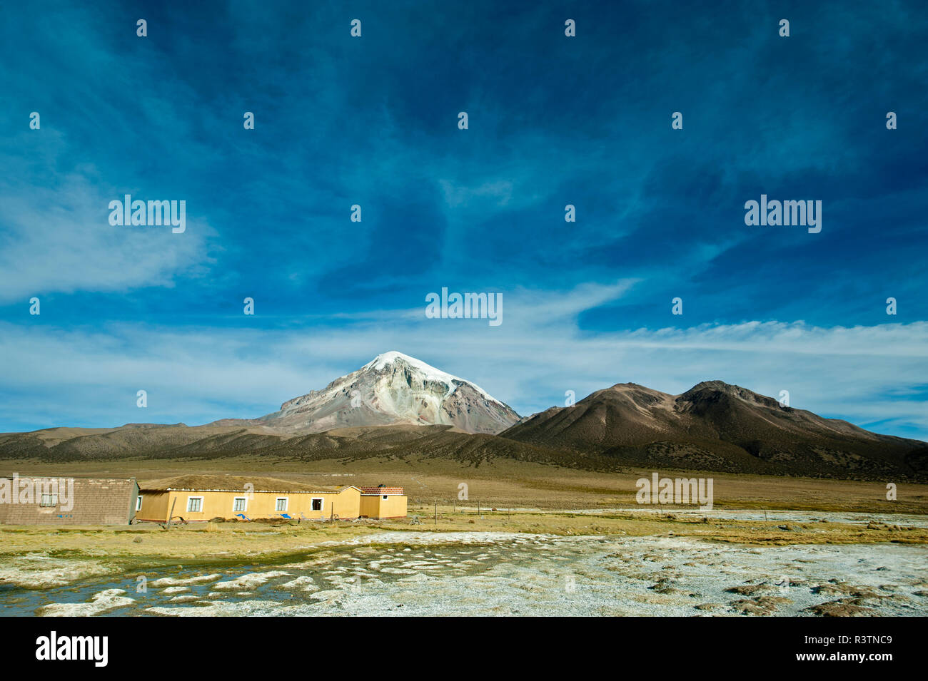 Snowcapped volcano Sajama, Sajama National Park, Bolivia Stock Photo ...