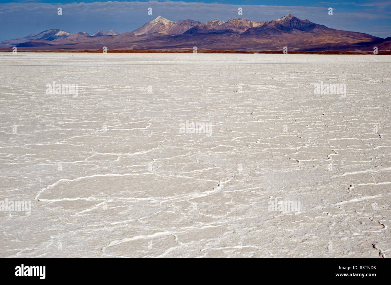 Coipasa hi-res stock photography and images - Alamy