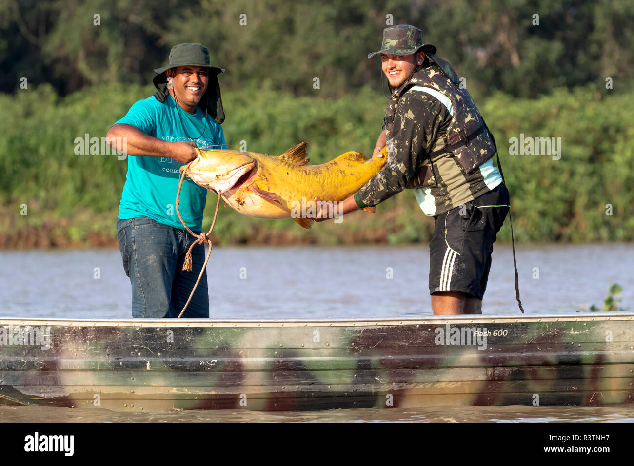 Catfish show hi-res stock photography and images - Alamy