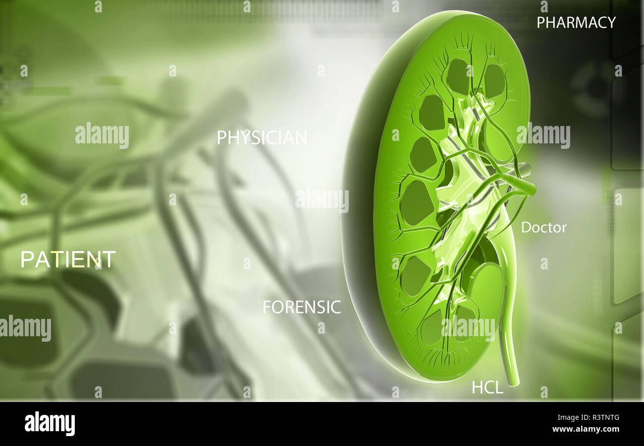 Kidney basin hi-res stock photography and images - Alamy