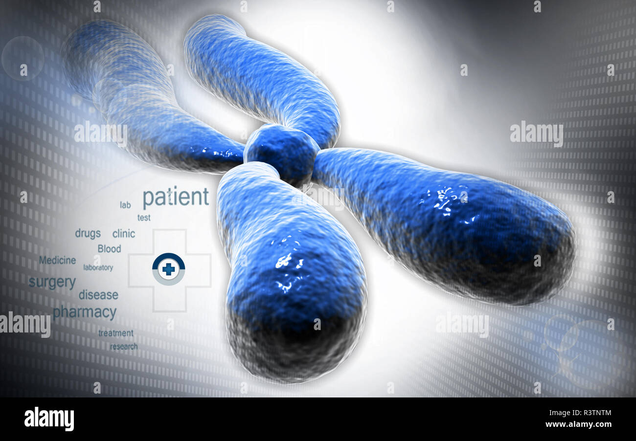 Chromosome x y hi-res stock photography and images - Alamy