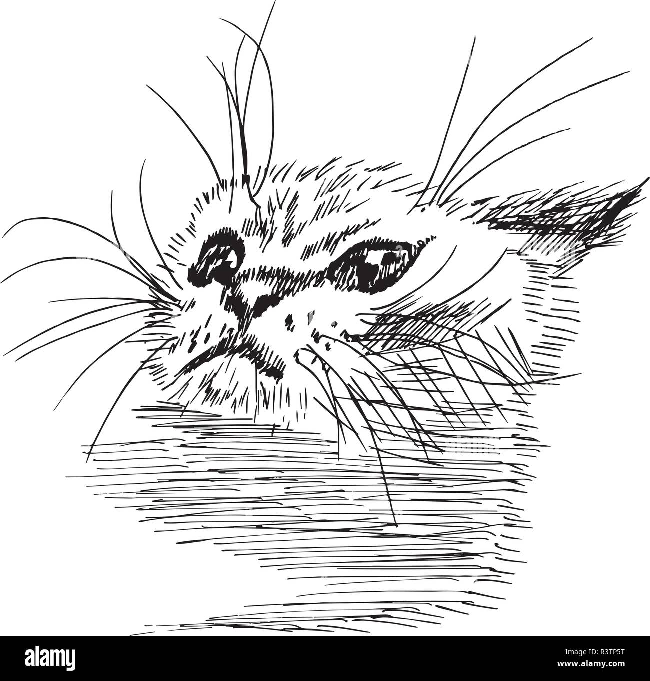 Black and white pattern of a cat in the style of hatching Stock Vector ...