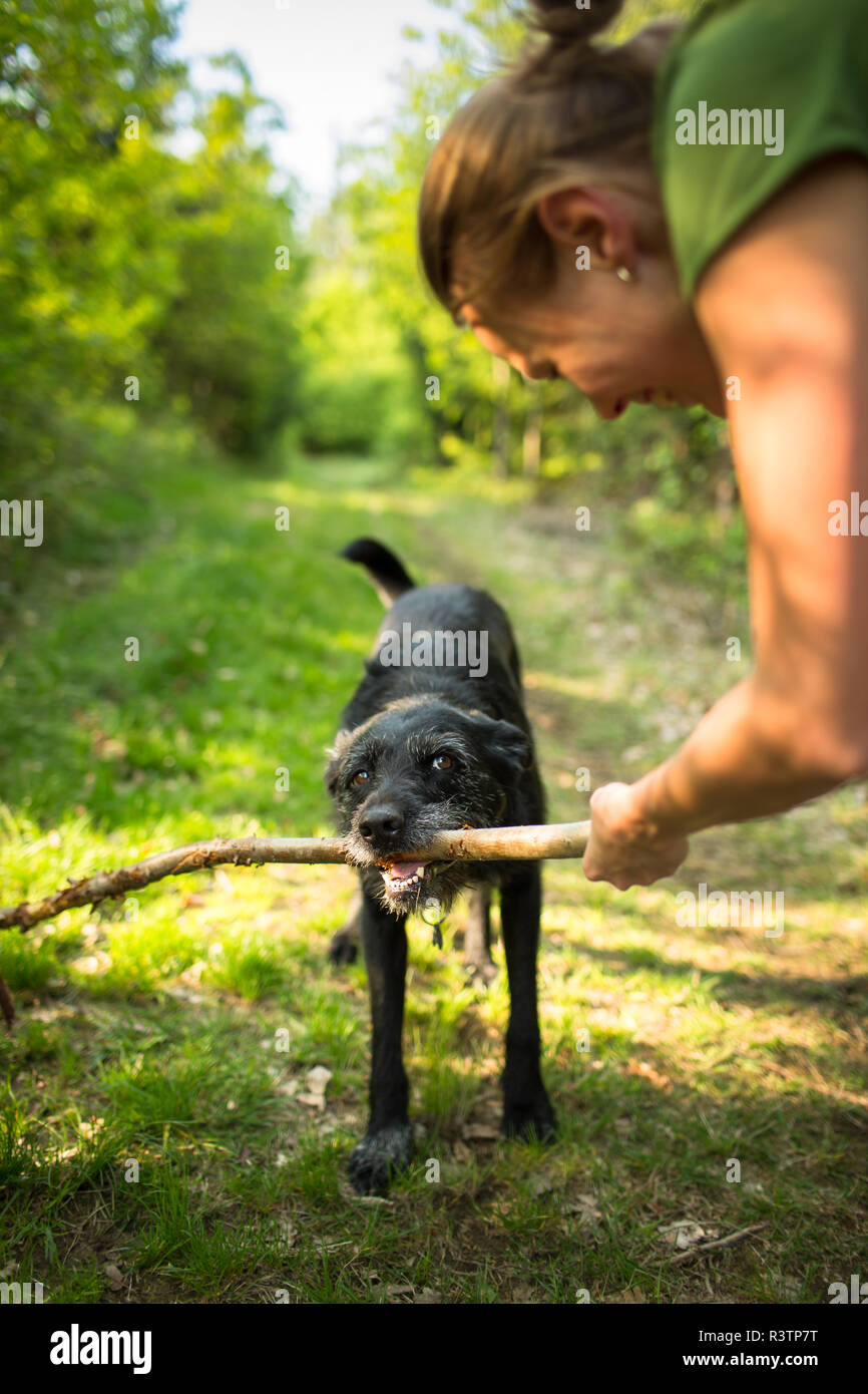 Walking the dog - throwing the stick to fetch to this eager companion ...