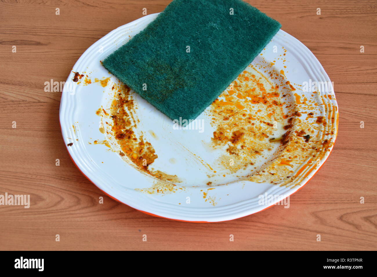green scrub sponge purely to food stain on white dish Stock Photo - Alamy