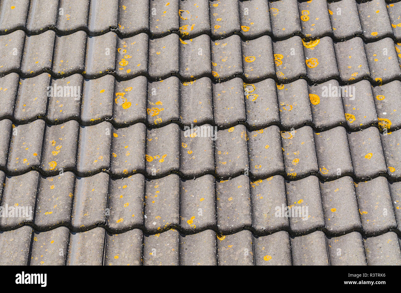 Weathered shingle roofs hi-res stock photography and images - Alamy