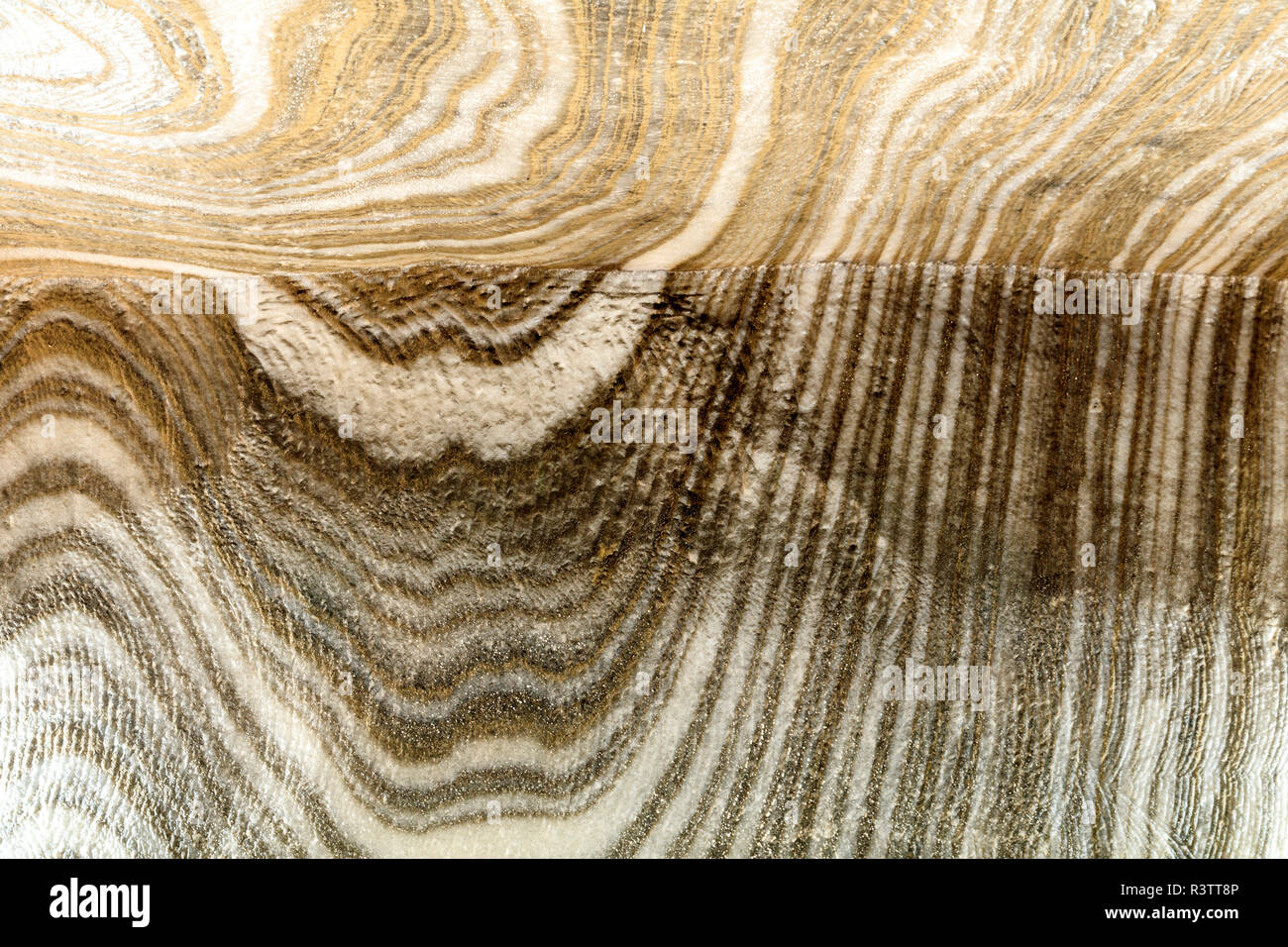 Emily mine hi-res stock photography and images - Alamy