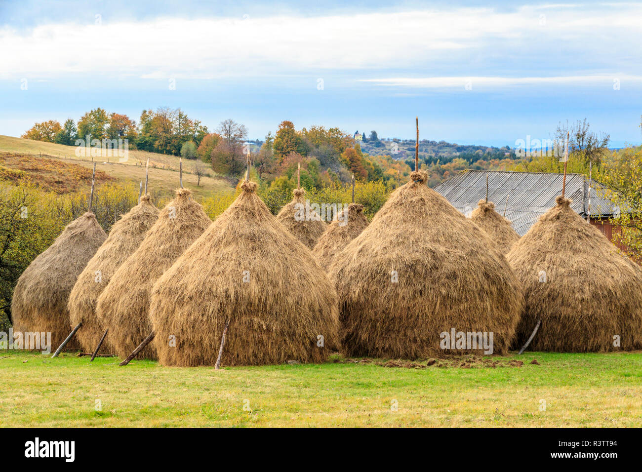 Europe, Romania. Haystacks Stock Photo - Alamy