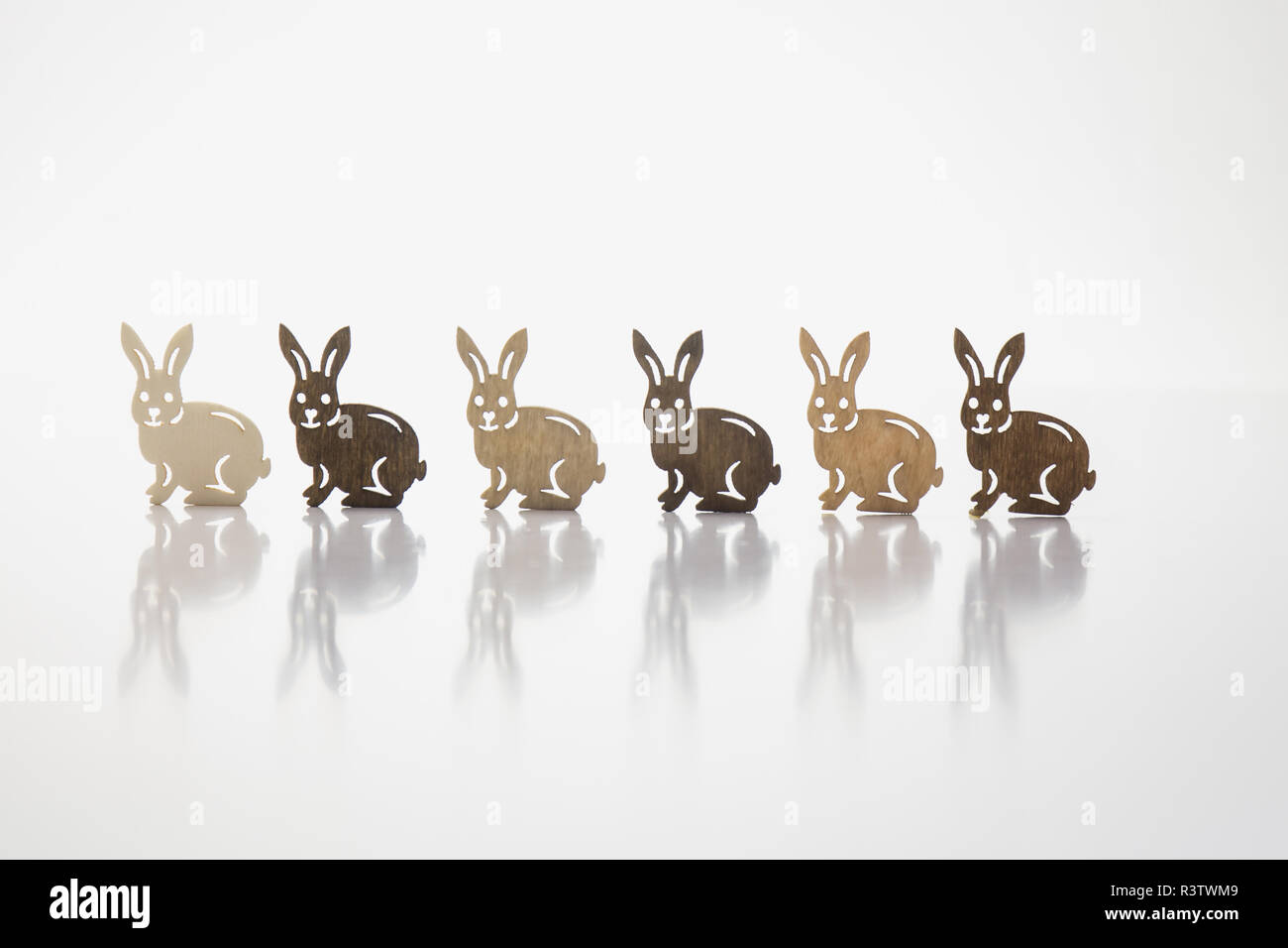 Six Rabbits High Resolution Stock Photography and Images - Alamy