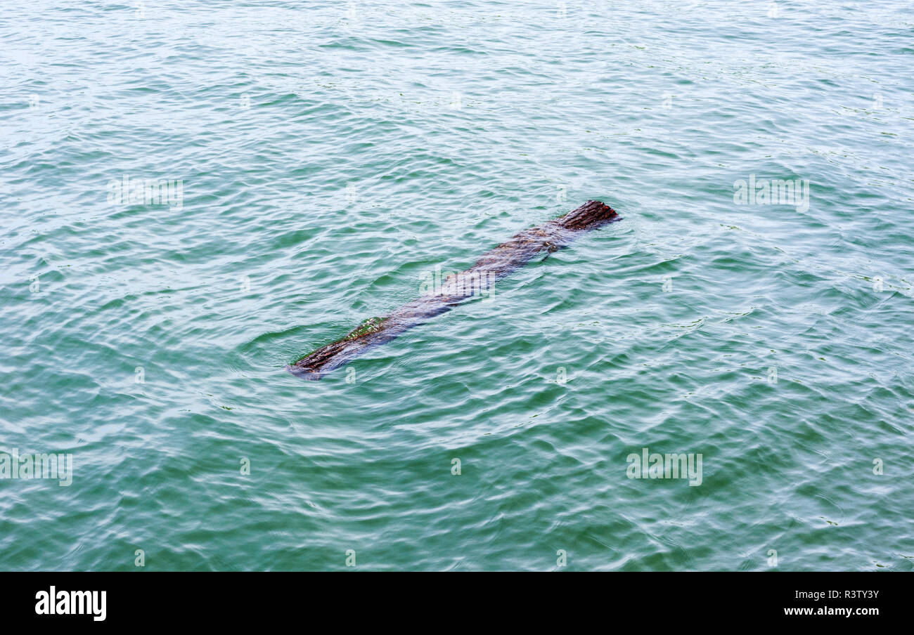Large wood piece drifting in water Stock Photo - Alamy