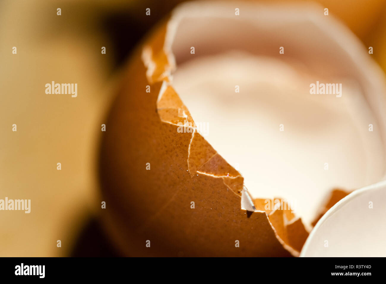Macro of edge of empty cracked brown egg shell Stock Photo - Alamy