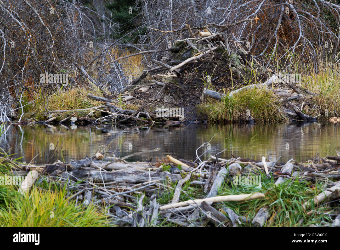 Archer lodge hi-res stock photography and images - Alamy