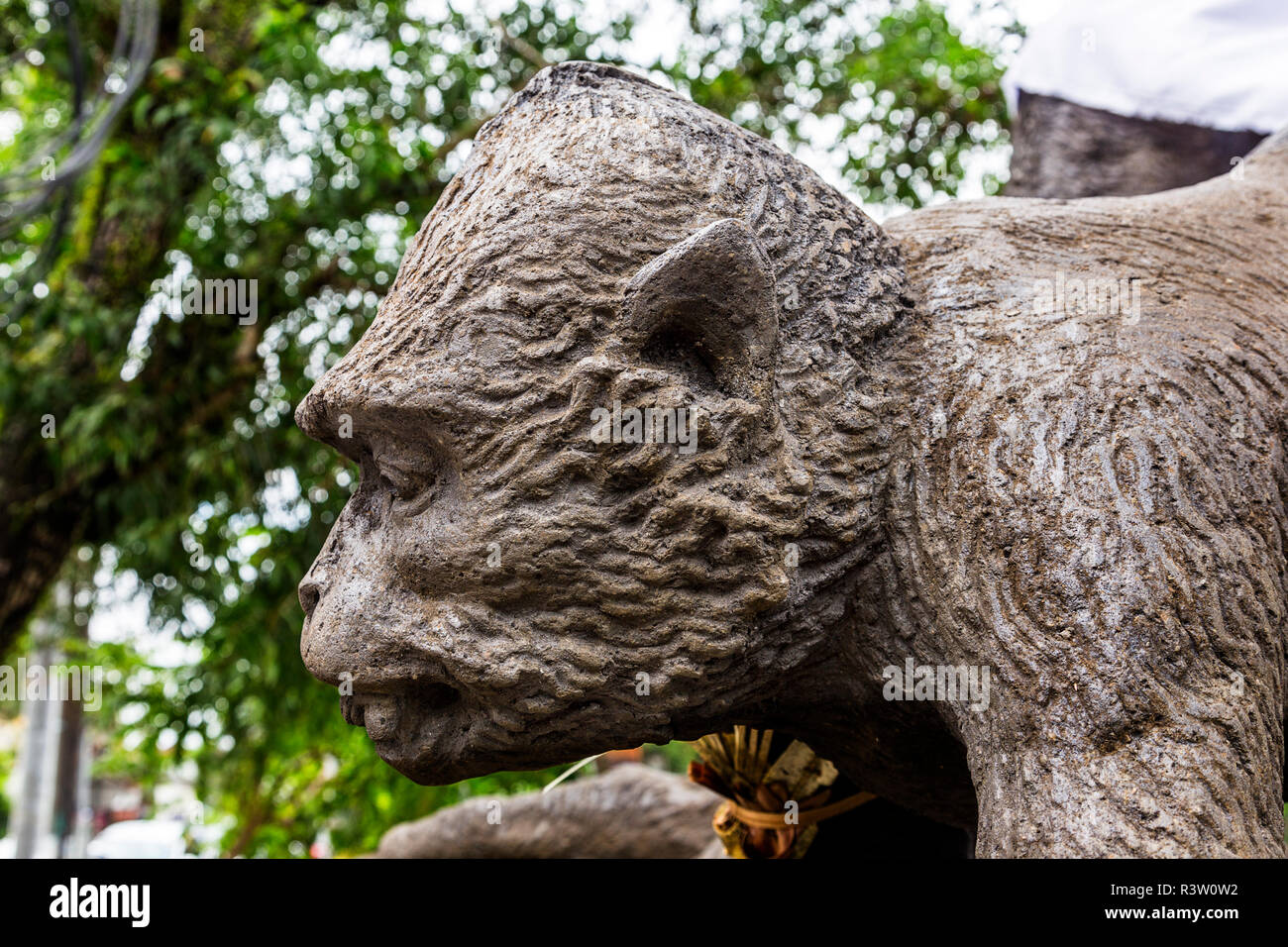 Monkey sculpture of head and shoulders in Ubud, Bali, Indonesia. Stone ...