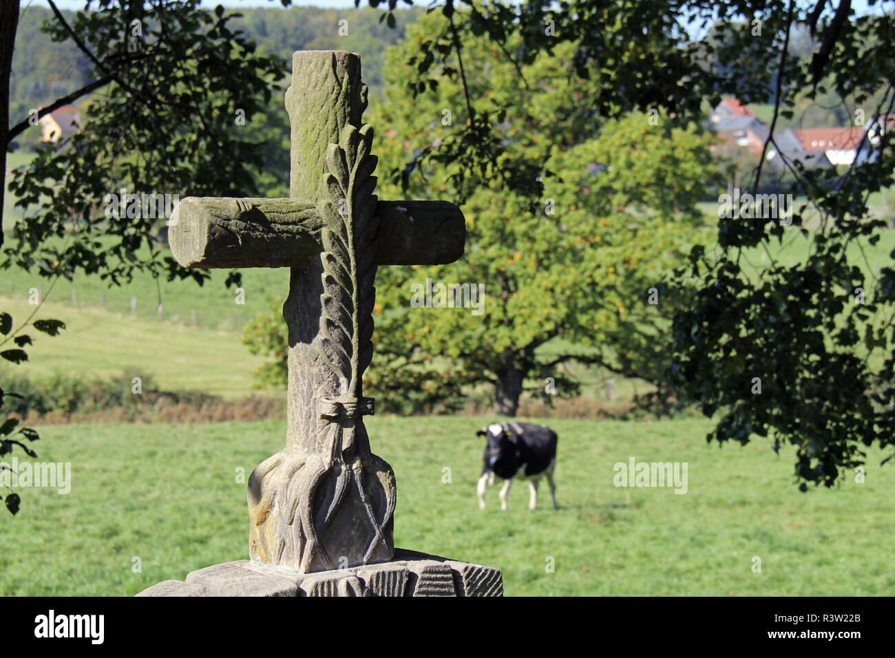 cow at the stone cross Stock Photo - Alamy