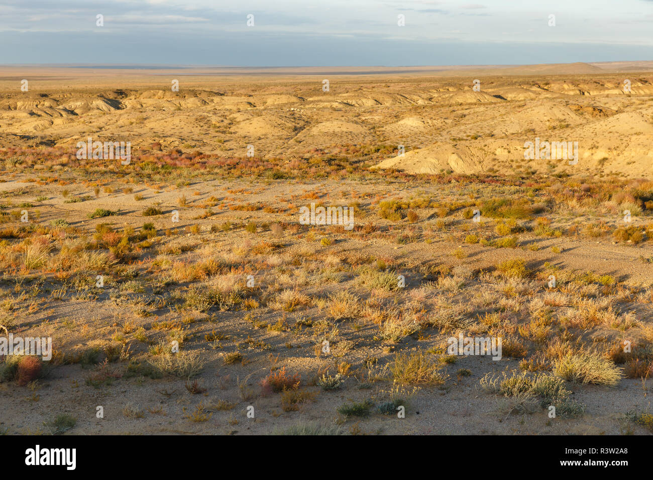 gobi desert mongolia Stock Photo - Alamy