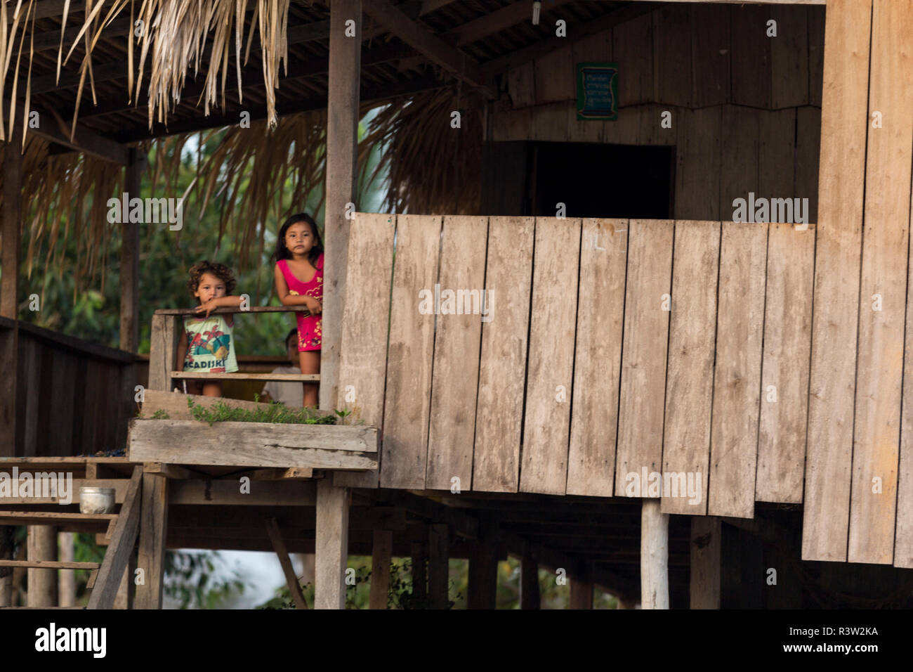 Amazonian village children peer out from their traditional home along ...