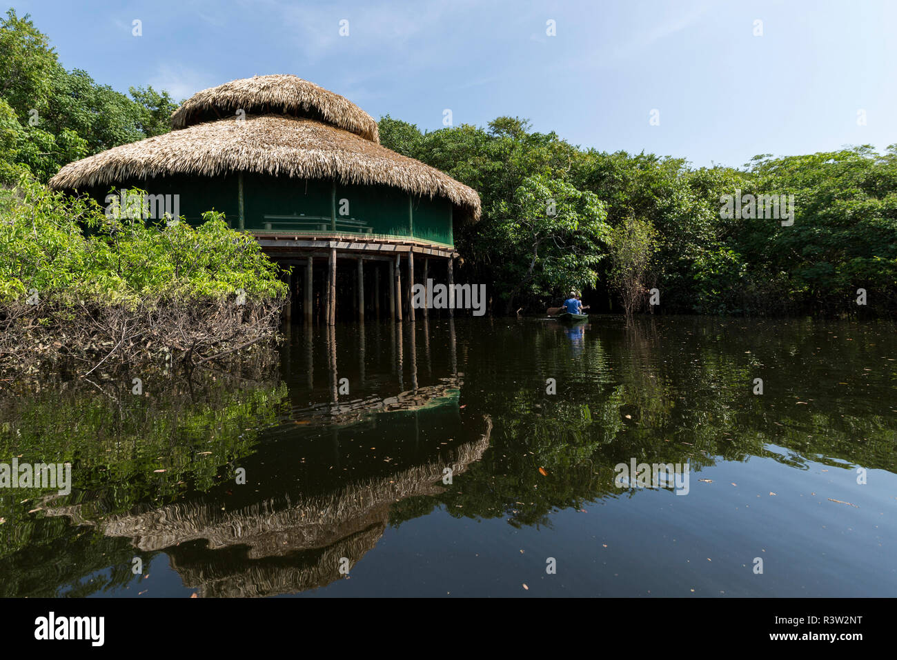 Tourists canoe in the amazon river near a traditional thatched hut ...