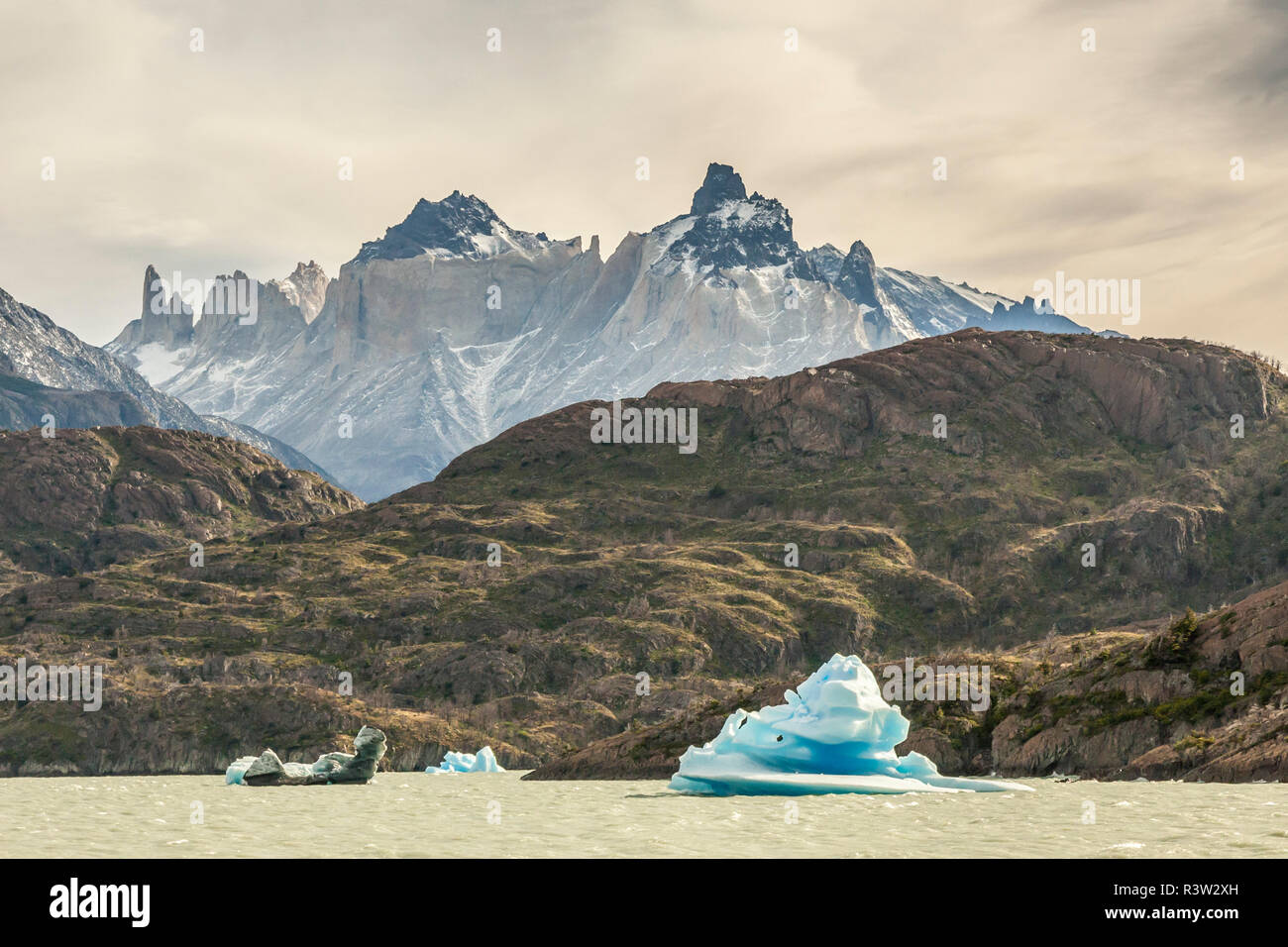 Chile, Patagonia. Icebergs from Lago Grey glacier Stock Photo - Alamy