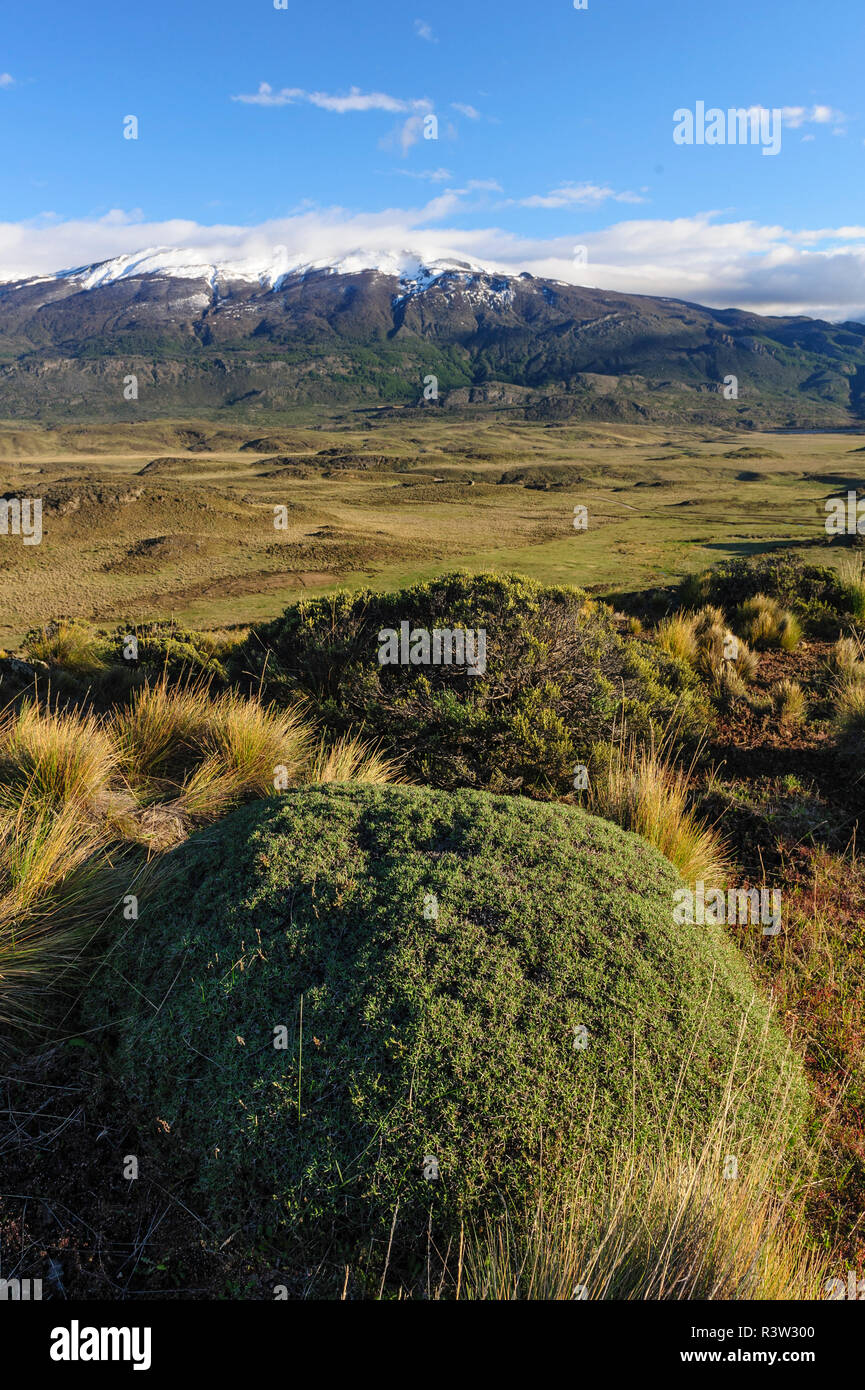 Chile, Aysen, Valle Chacabuco. The steppe landscape in Patagonia Park ...
