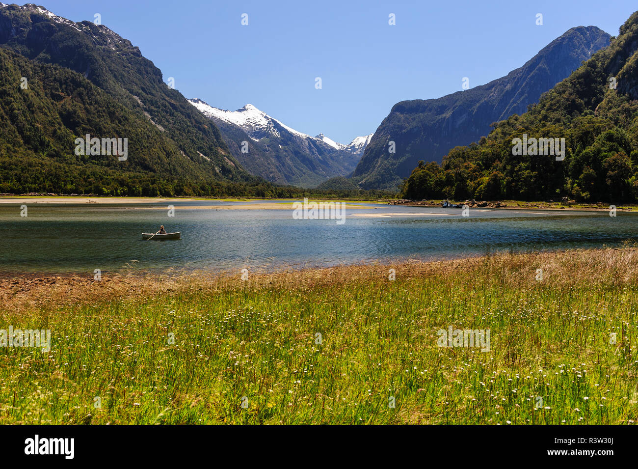 Chile, Patagonia, Lake District, Pumalin Park. Woman rowing a dinghy ...