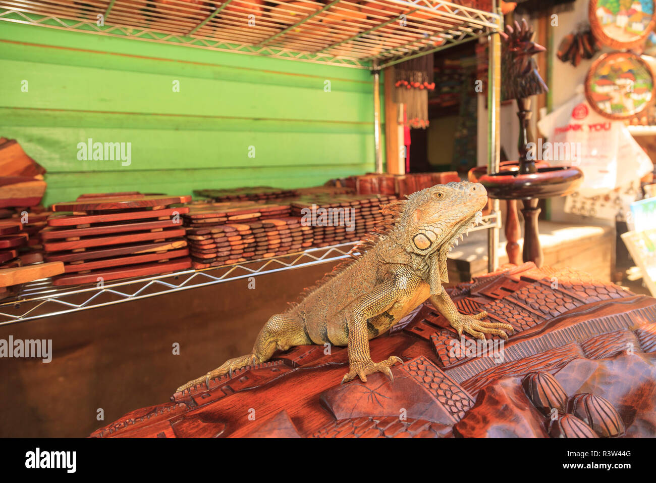 Honduras Farm High Resolution Stock Photography and Images - Alamy