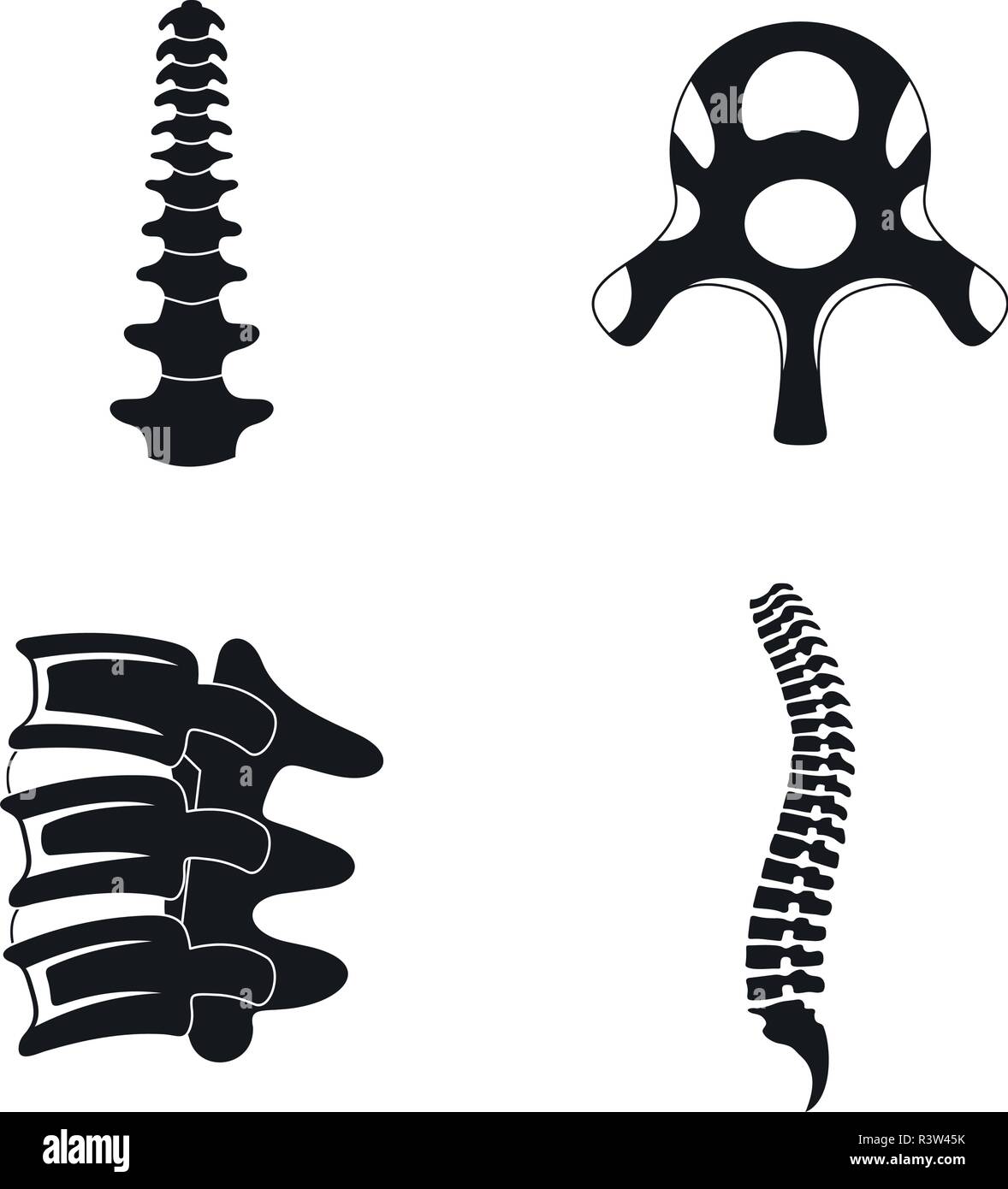 Spine orthopedic vertebra icons set. Simple illustration of 4 spine orthopedic vertebra vector ...