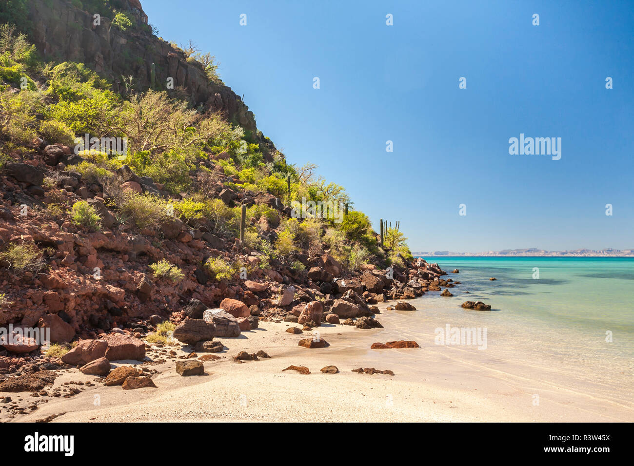 Isla ballena , mexico hi-res stock photography and images - Alamy