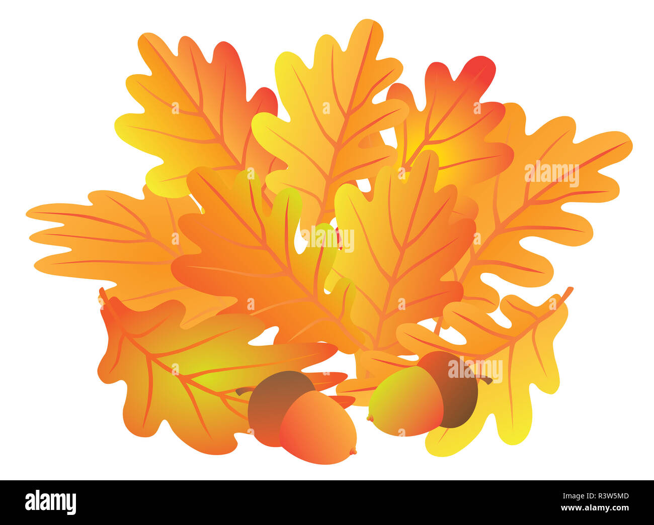 Oak Tree Drawing High Resolution Stock Photography and Images - Alamy