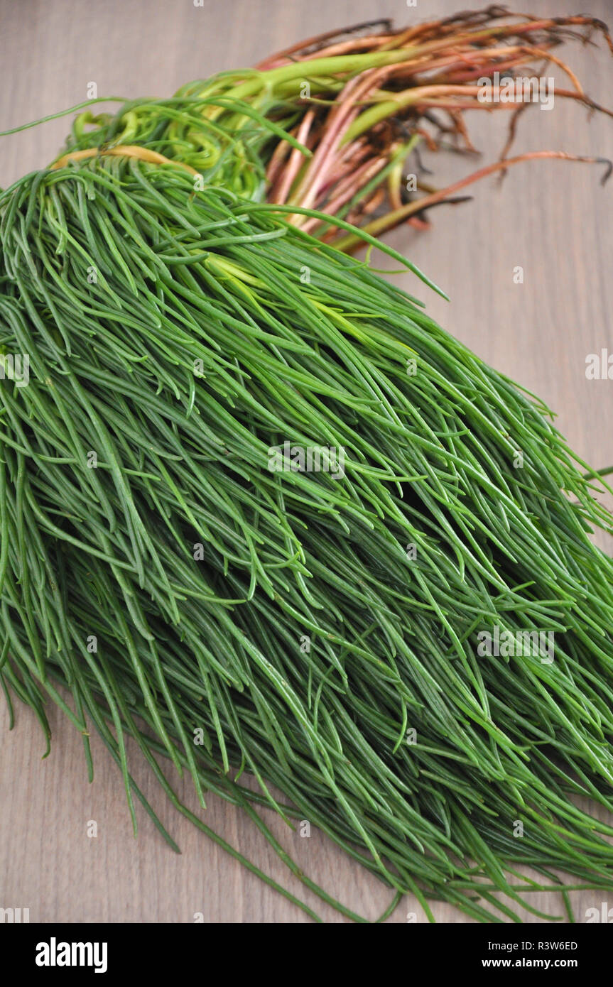 Barba di barba hi-res stock photography and images - Alamy