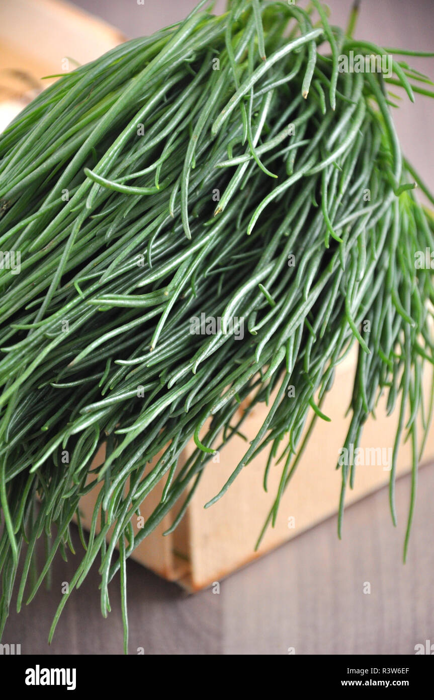 Barba di barba hi-res stock photography and images - Alamy