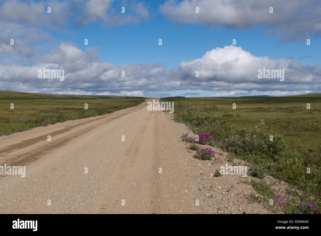 Alaska, Nome, sights along the Bob Blodgett Nome-Teller Highway (aka ...