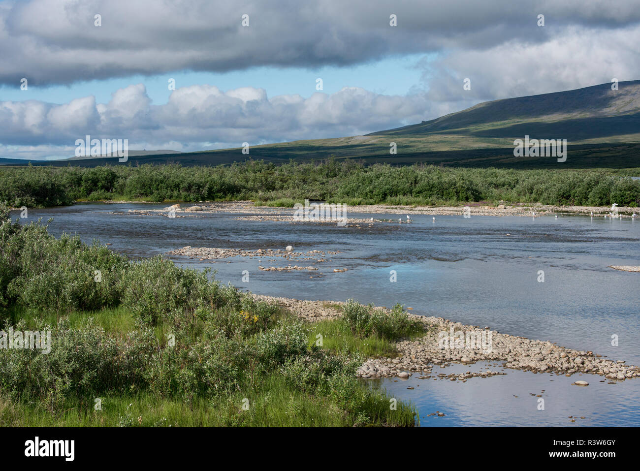 Alaska nome bob blodgett nome teller hi-res stock photography and ...