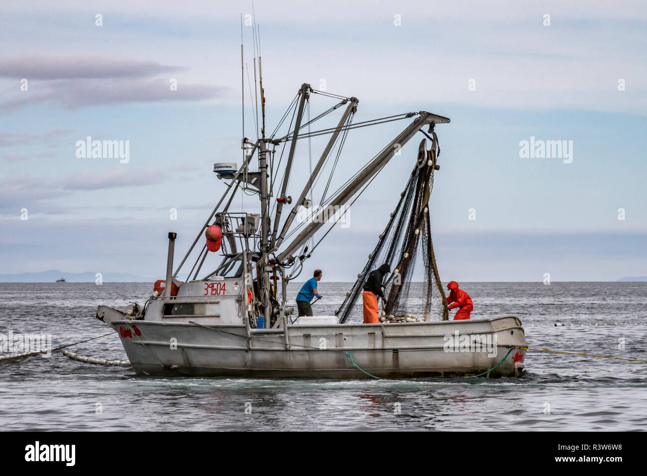 USA, Alaska, Kodiak, Chiniak Bay. Commercial fishing for salmon near a ...