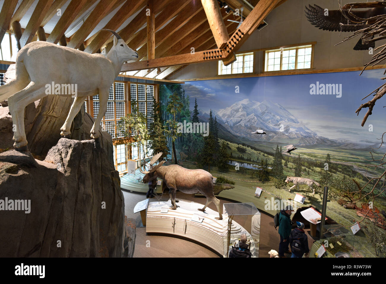 Denali ranger station hi-res stock photography and images - Alamy