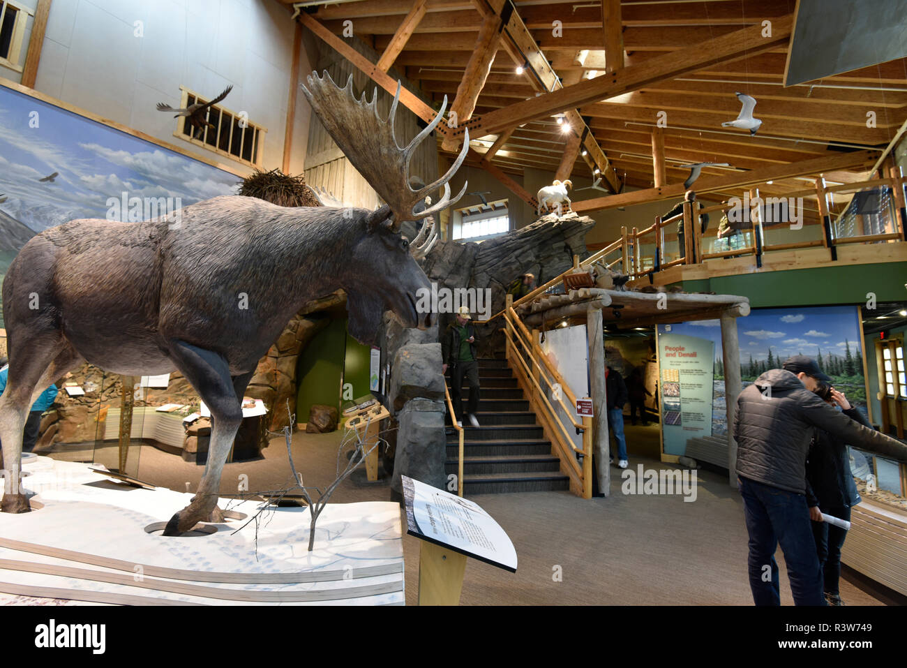 Denali Ranger Station High Resolution Stock Photography and Images - Alamy