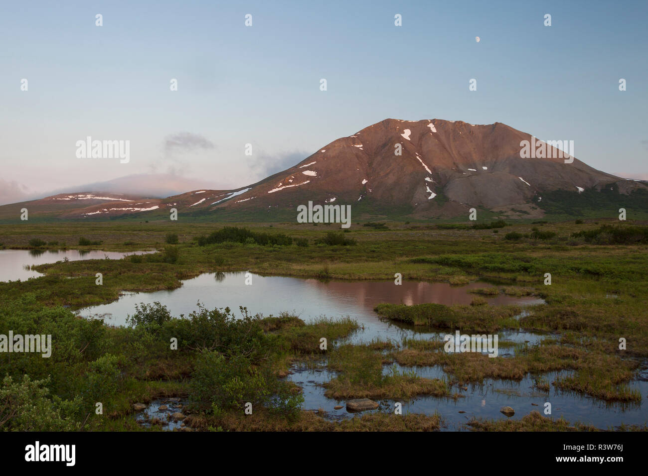 Sub arctic hi-res stock photography and images - Alamy