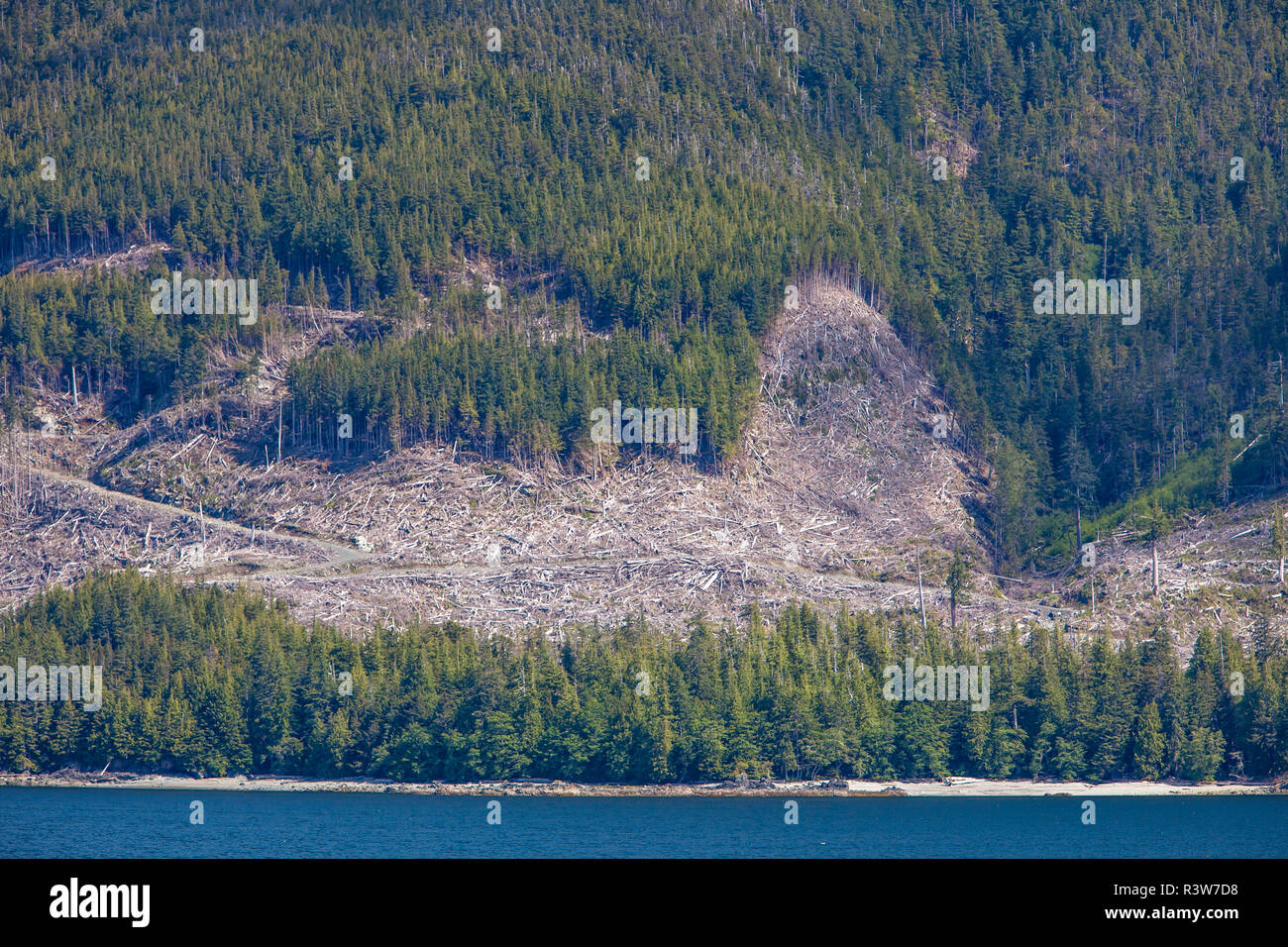 USA. Alaska, Ketchikan. Clearcut logging on the Inside Passage to ...