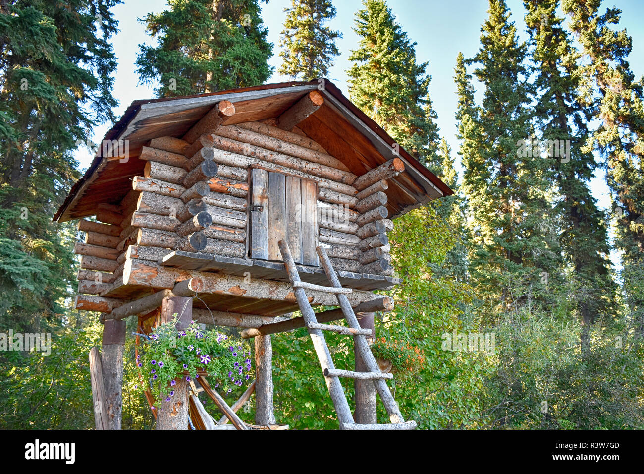 USA, Alaska, Fairbanks. Chena Indian Village, log cache Stock Photo - Alamy