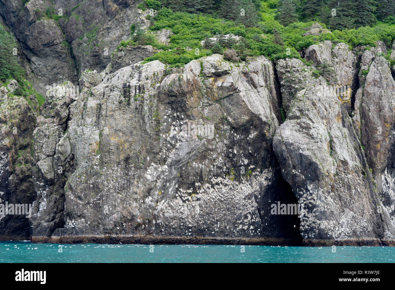 USA, Alaska, Seward sea caves Stock Photo - Alamy