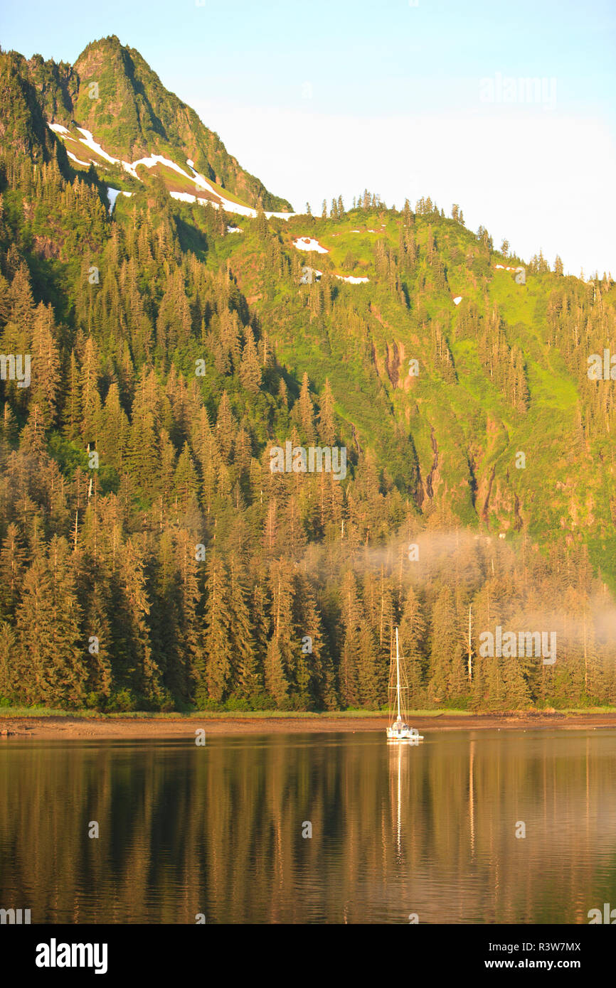 Fog and spruce trees near Pybus Bay, Inside Passage, Southeast Alaska ...