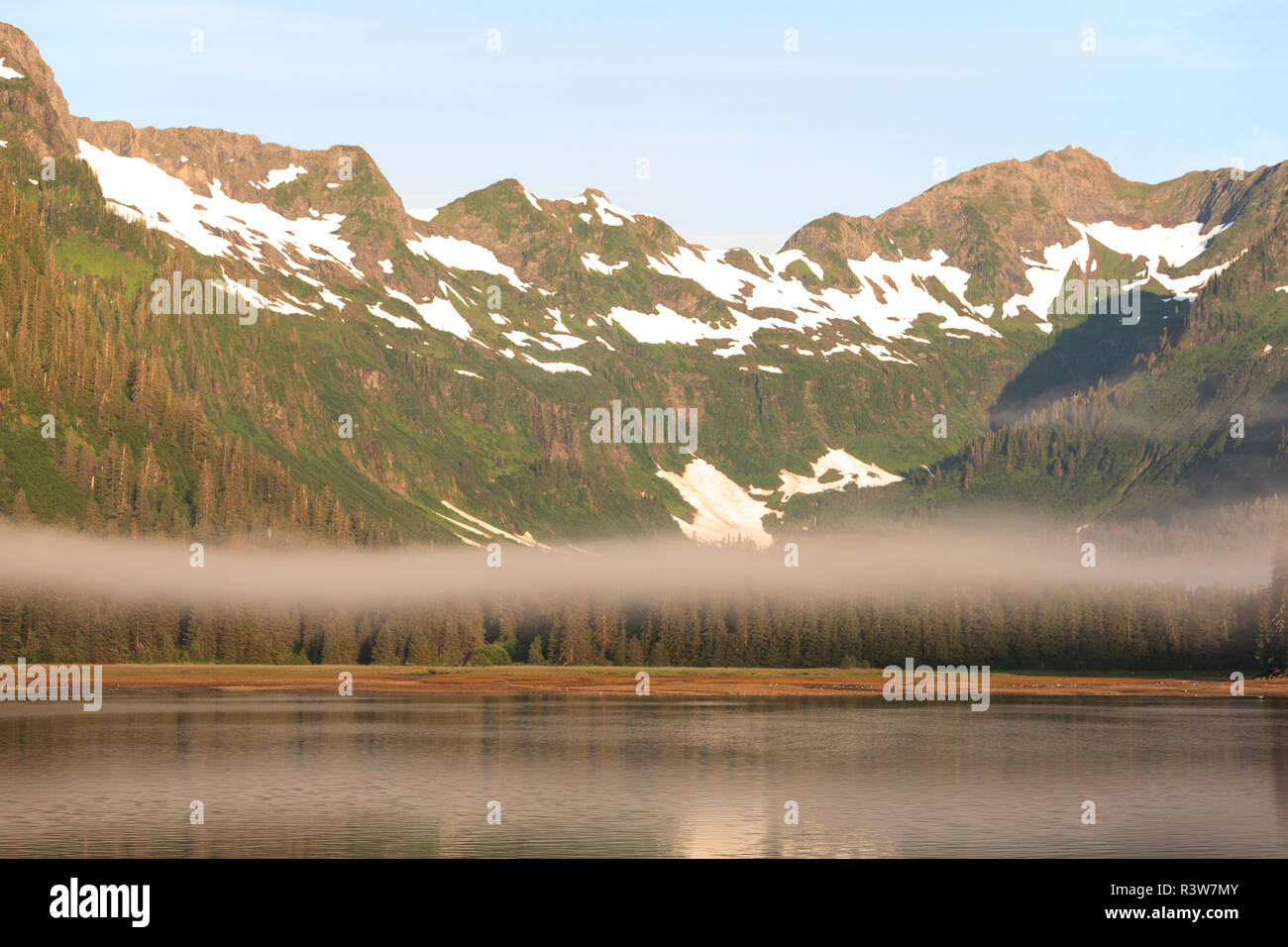 Pybus hi-res stock photography and images - Alamy