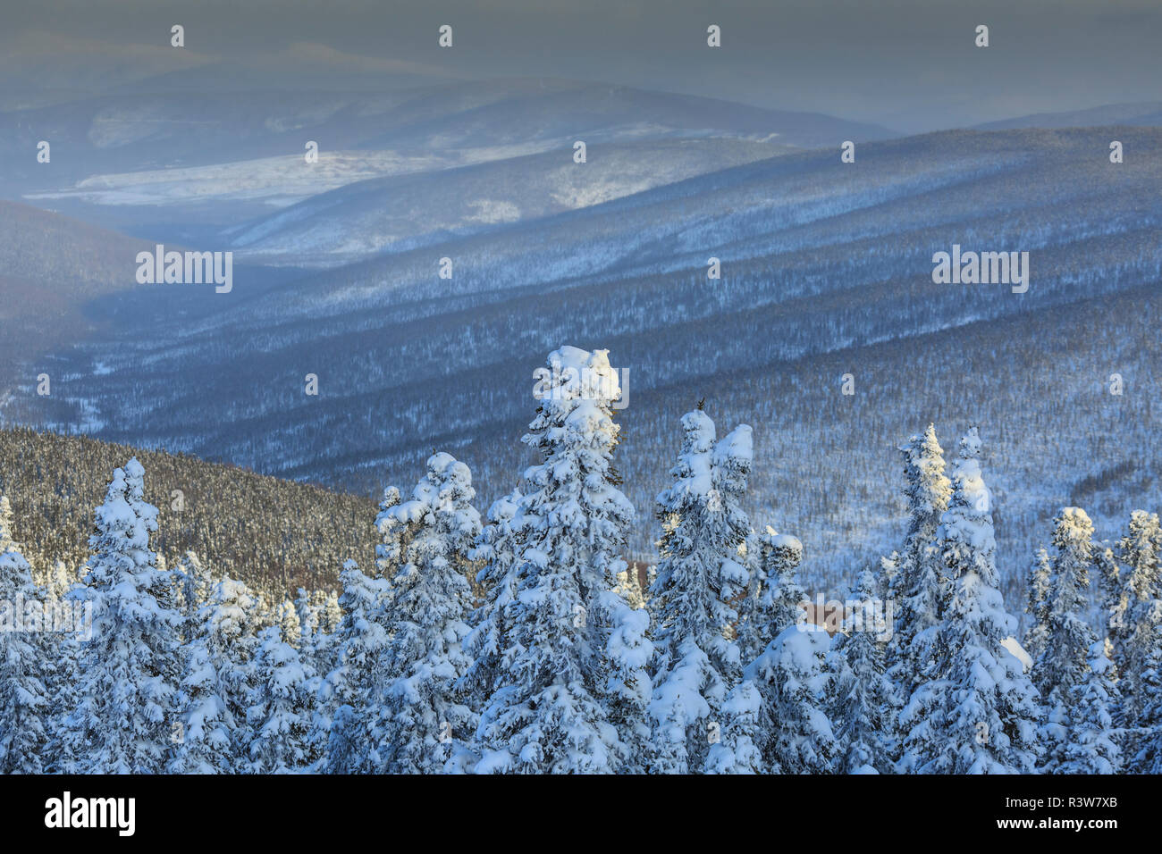 Fairbanks alaska hi-res stock photography and images - Alamy