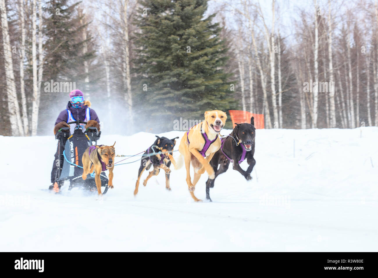 North american championship hi-res stock photography and images - Alamy