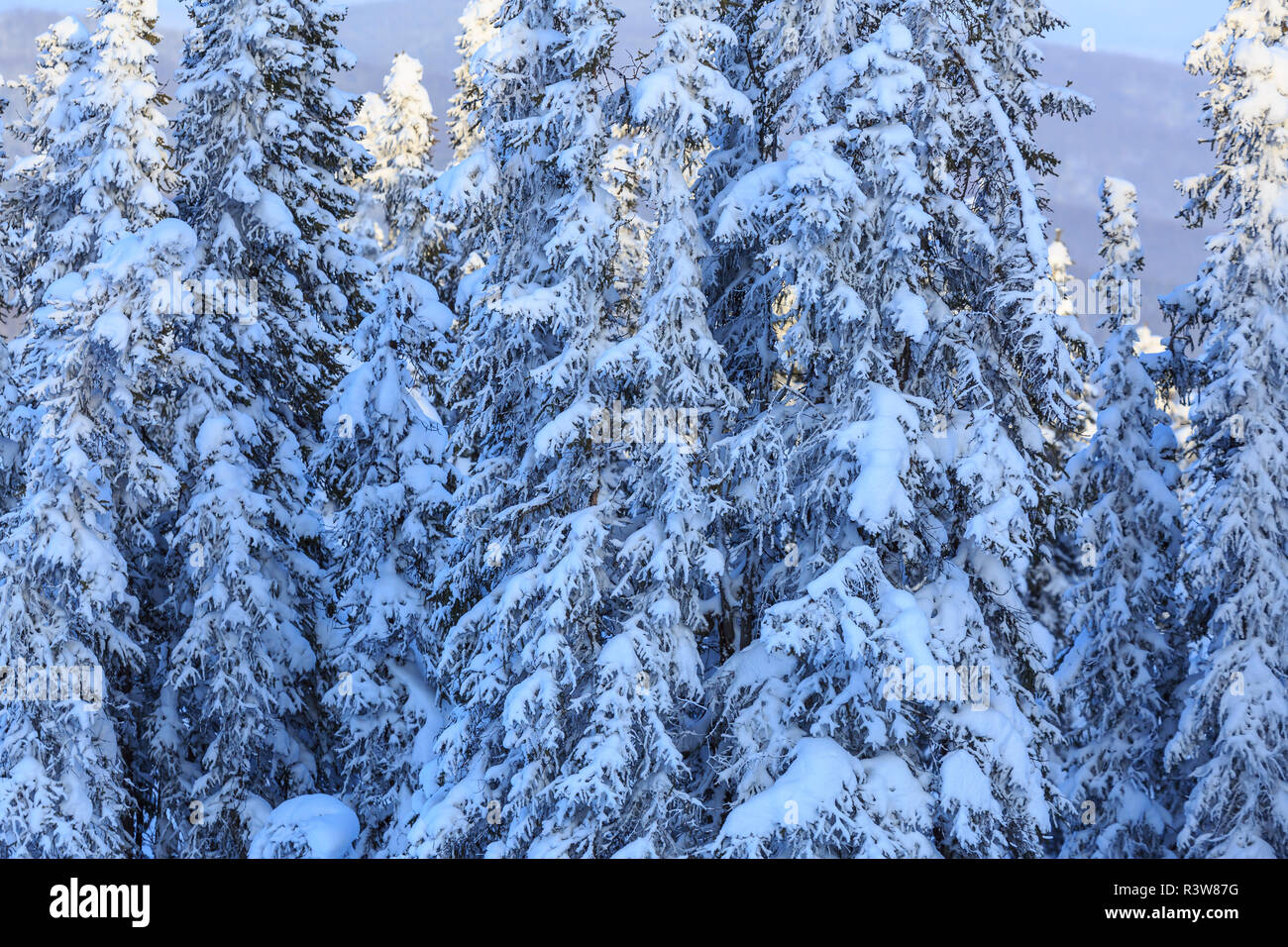 Alaska scene hi-res stock photography and images - Alamy